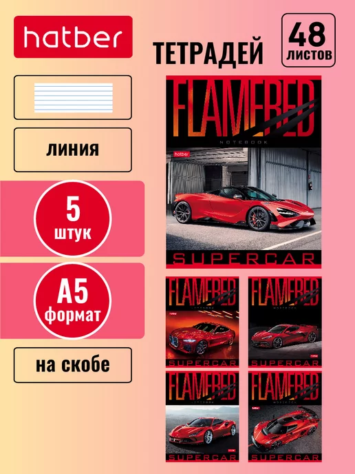 Тетрадь 48 листов линия 5 дизайнов 5 штук Hatber