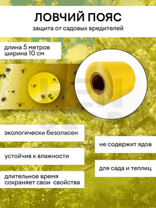 Wildberries — интернет-магазин модной одежды, обуви и аксессуаров